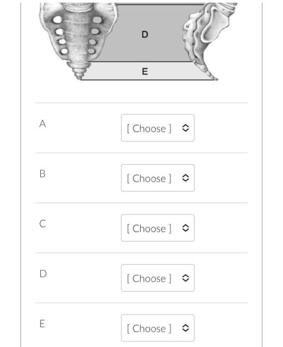 Solved A [Choose] ^ B [Choose] C [Choose] D E [ Choose | Chegg.com