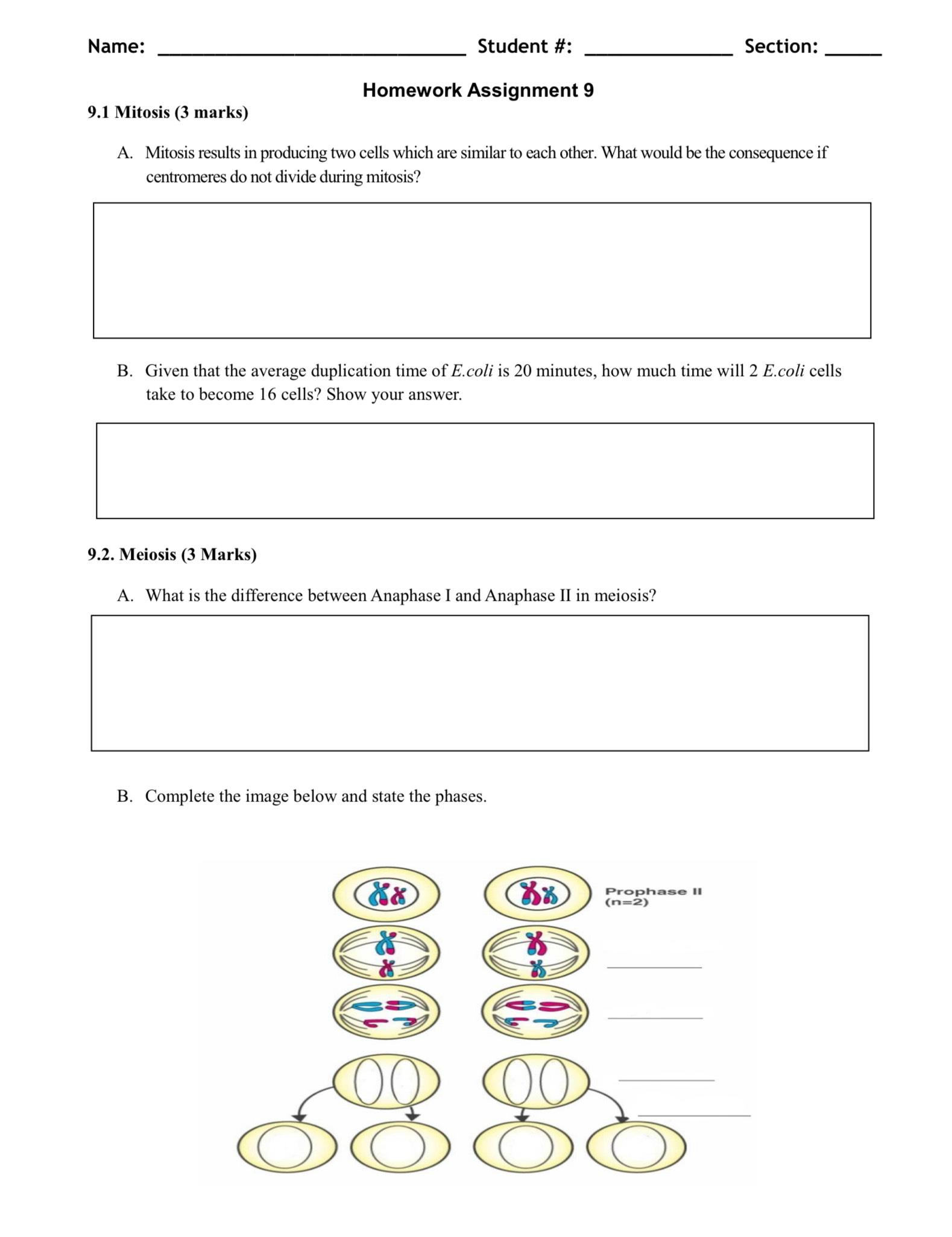 Solved Name:Student #:Section:Homework Assignment 99.1 | Chegg.com