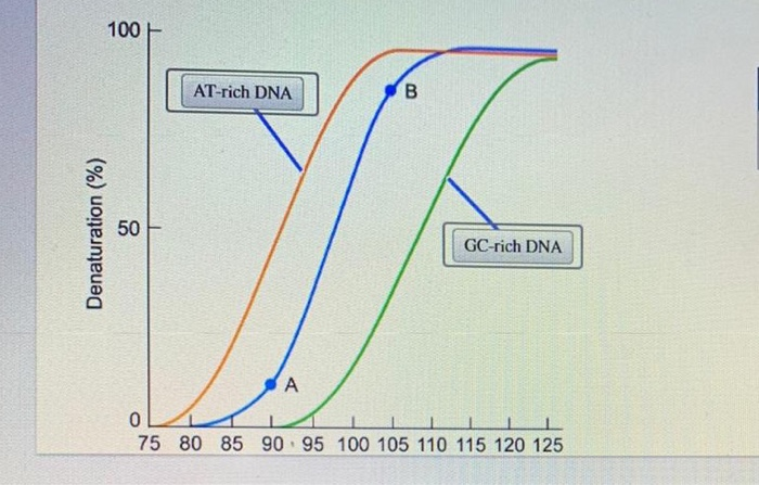 Solved 100 AT-rich DNA Denaturation (%) GC-rich DNA 75 80 85 | Chegg.com