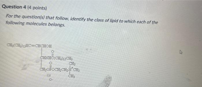 Question 4 (4 points) For the question(s) that | Chegg.com Question 4 (4 points) For the question(s) that | Chegg.com