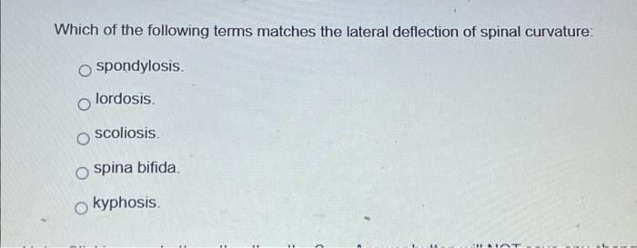 Solved The three prominent bony markings on the outer | Chegg.com
