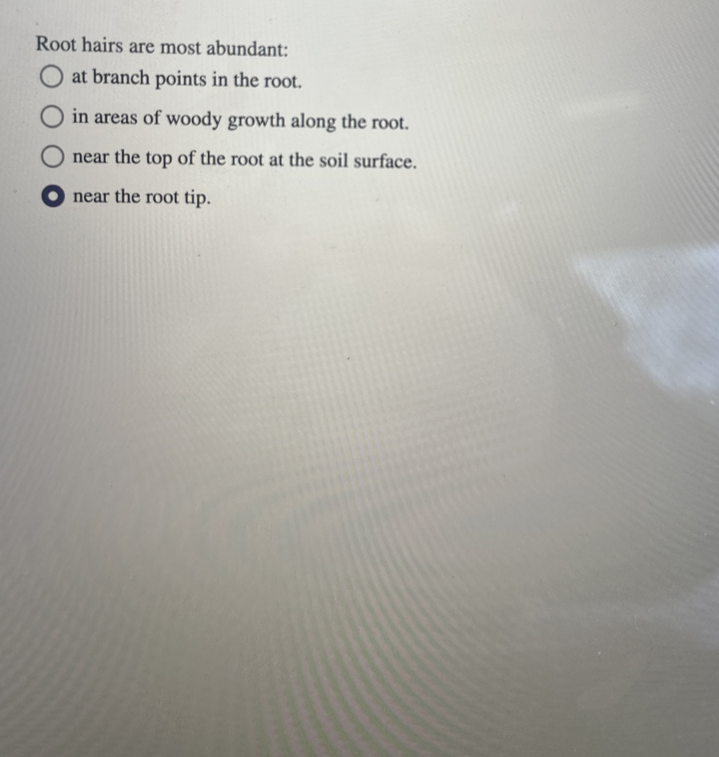 Solved Root hairs are most abundant:at branch points in the | Chegg.com