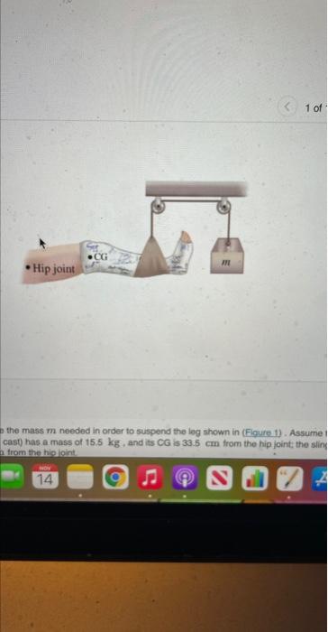 Solved Calculate the mass mm needed in order to suspend the | Chegg.com