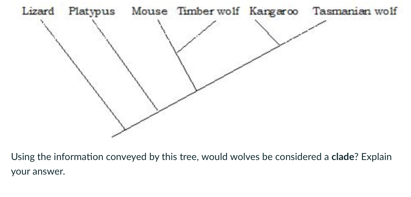 Solved Using the information conveyed by this tree, would | Chegg.com
