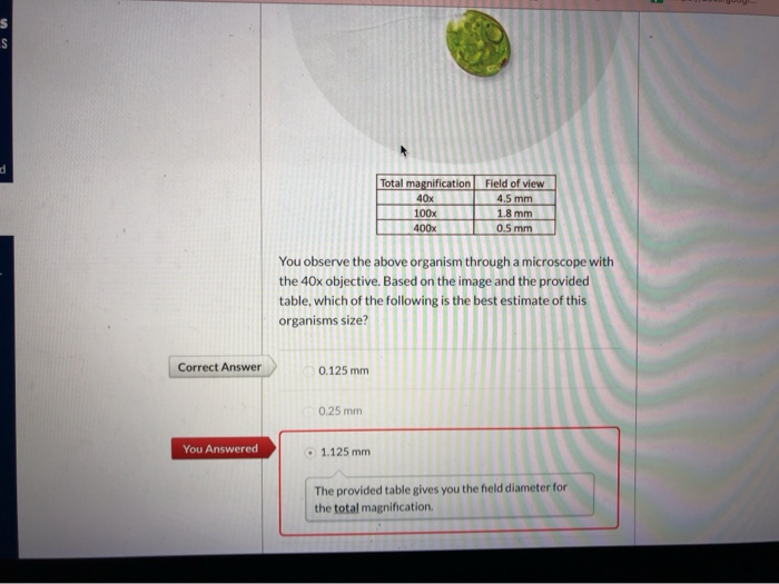 Solved Total magnification 40x 100x1 400x Field of view 4.5 | Chegg.com