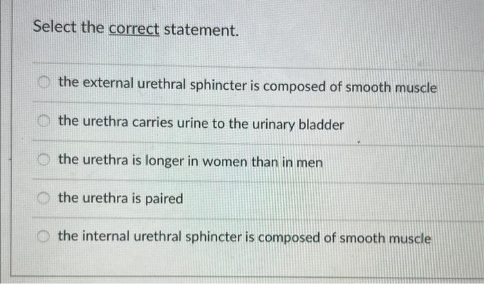 Solved Select the correct statement. the external urethral | Chegg.com