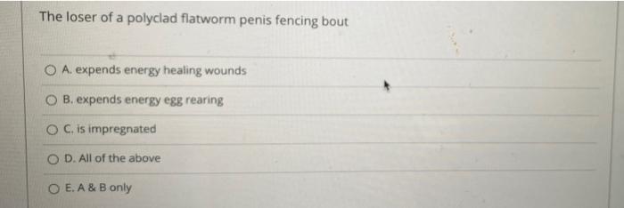 Solved The loser of a polyclad flatworm penis fencing bout O | Chegg.com