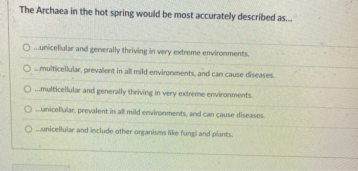 Solved The Archaea in the hot spring would be most | Chegg.com