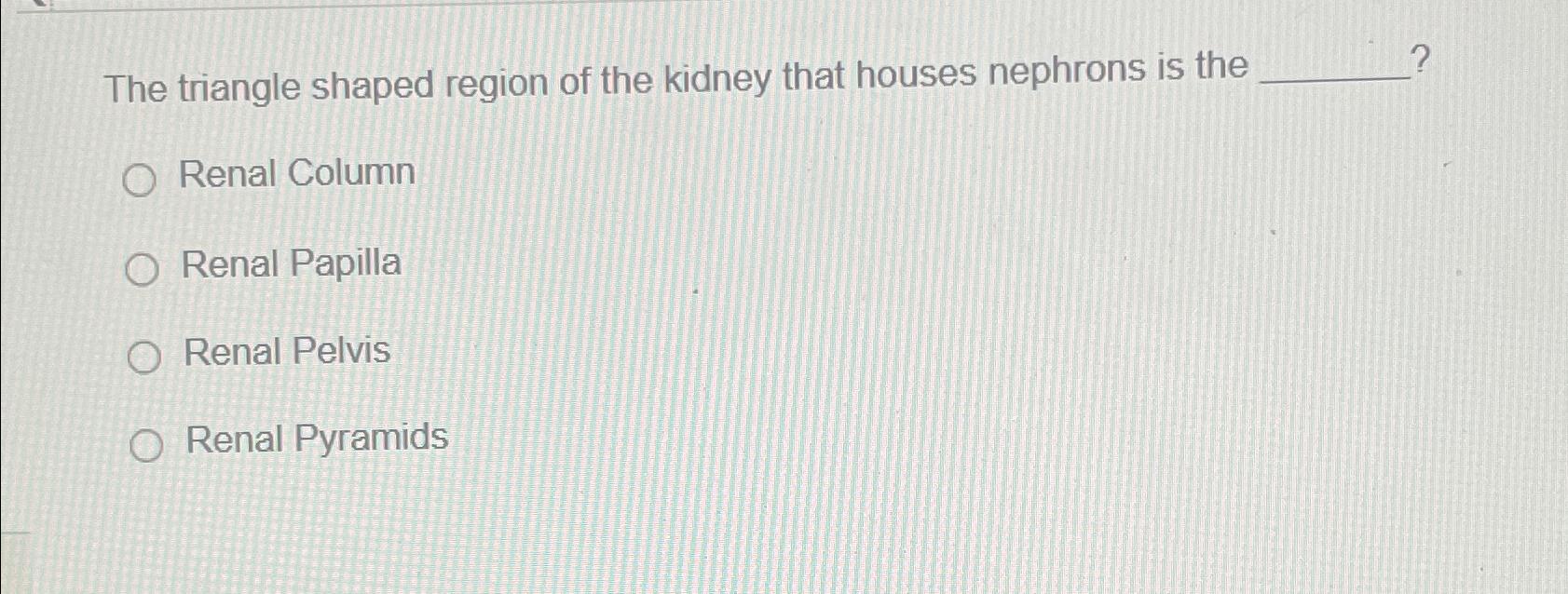 Solved The triangle shaped region of the kidney that houses | Chegg.com