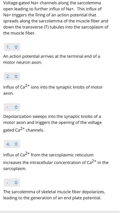 Solved need help to put these steps in order there are 8 and | Chegg.com