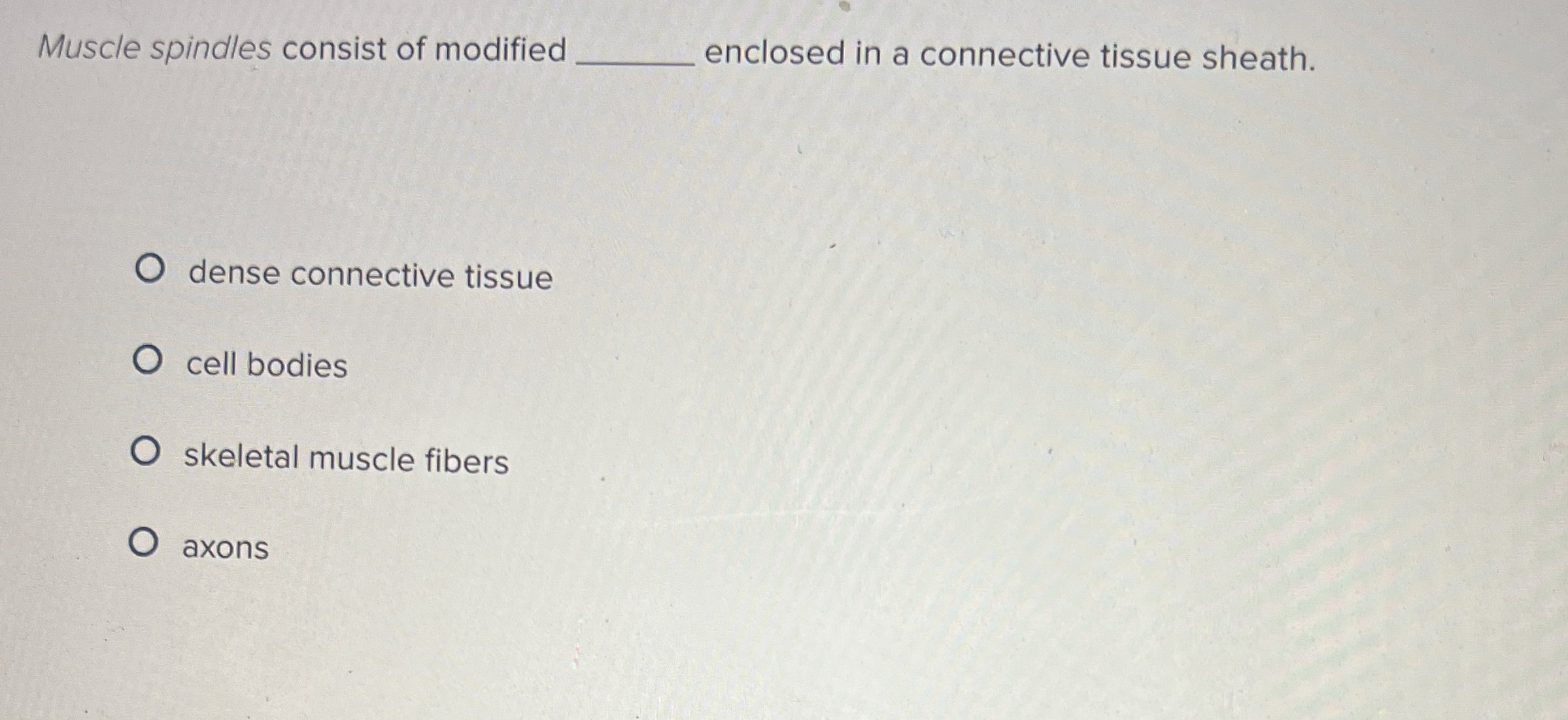 Solved Muscle spindles consist of modified q, ﻿enclosed in a | Chegg.com