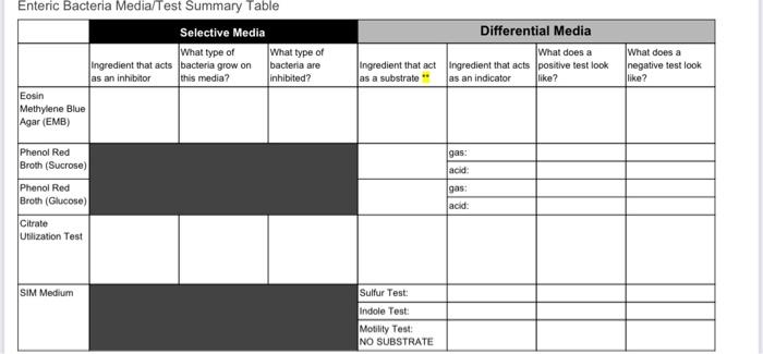 Solved Enteric Bacteria Media/Test Summary Table Selective | Chegg.com