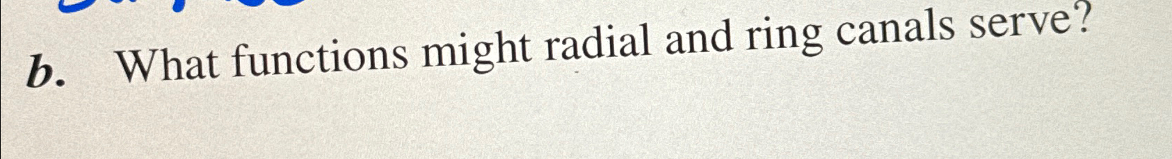 Solved b. ﻿What functions might radial and ring canals | Chegg.com