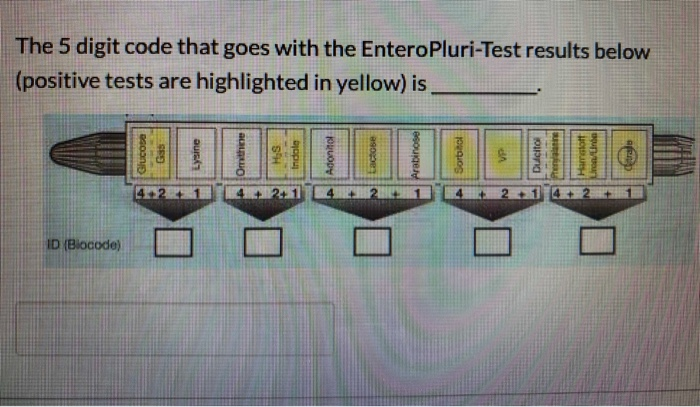 Solved The 5 digit code that goes with the Entero Pluri-Test | Chegg.com