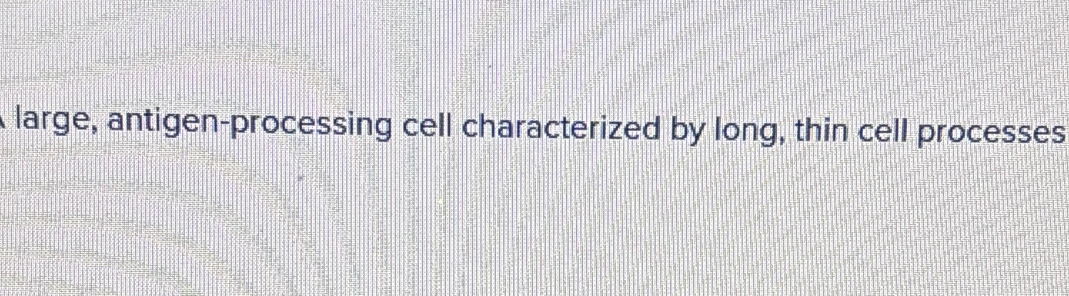 Solved large, antigen-processing cell characterized by long, | Chegg.com