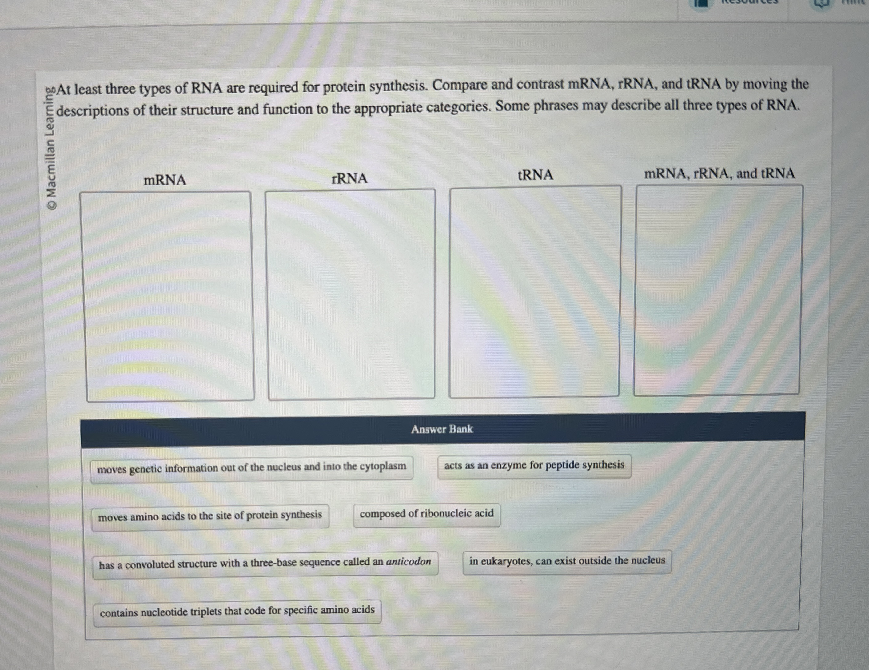 Solved mRNArRNAtRNAmRNA, rRNA, and tRNA Answer Bankmoves | Chegg.com