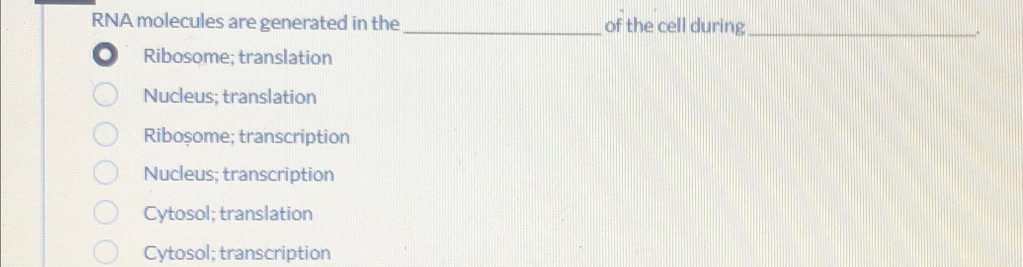 Solved RNA molecules are generated in the of the cell | Chegg.com