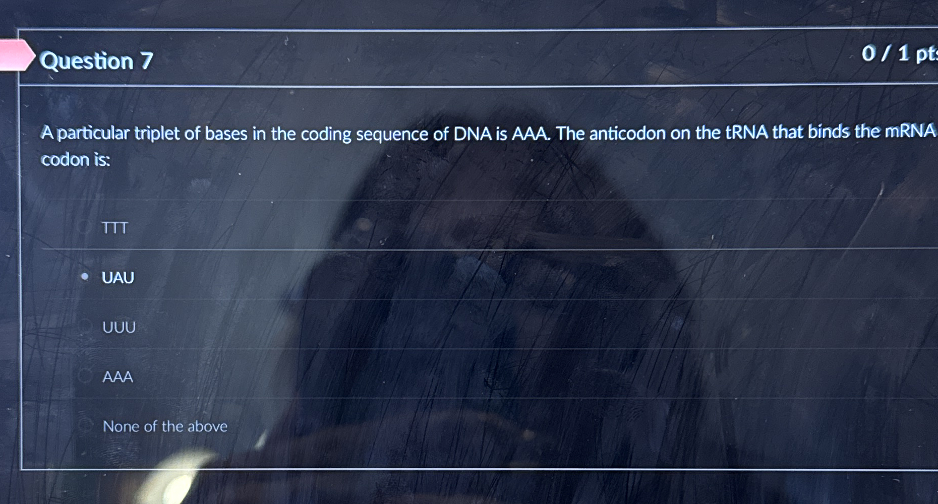 Solved Question 701 ﻿ptA particular triplet of bases in the | Chegg.com