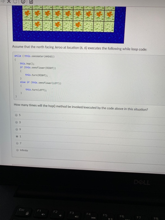 Solved D Question 11 Consider the following state of a Jeroo | Chegg.com