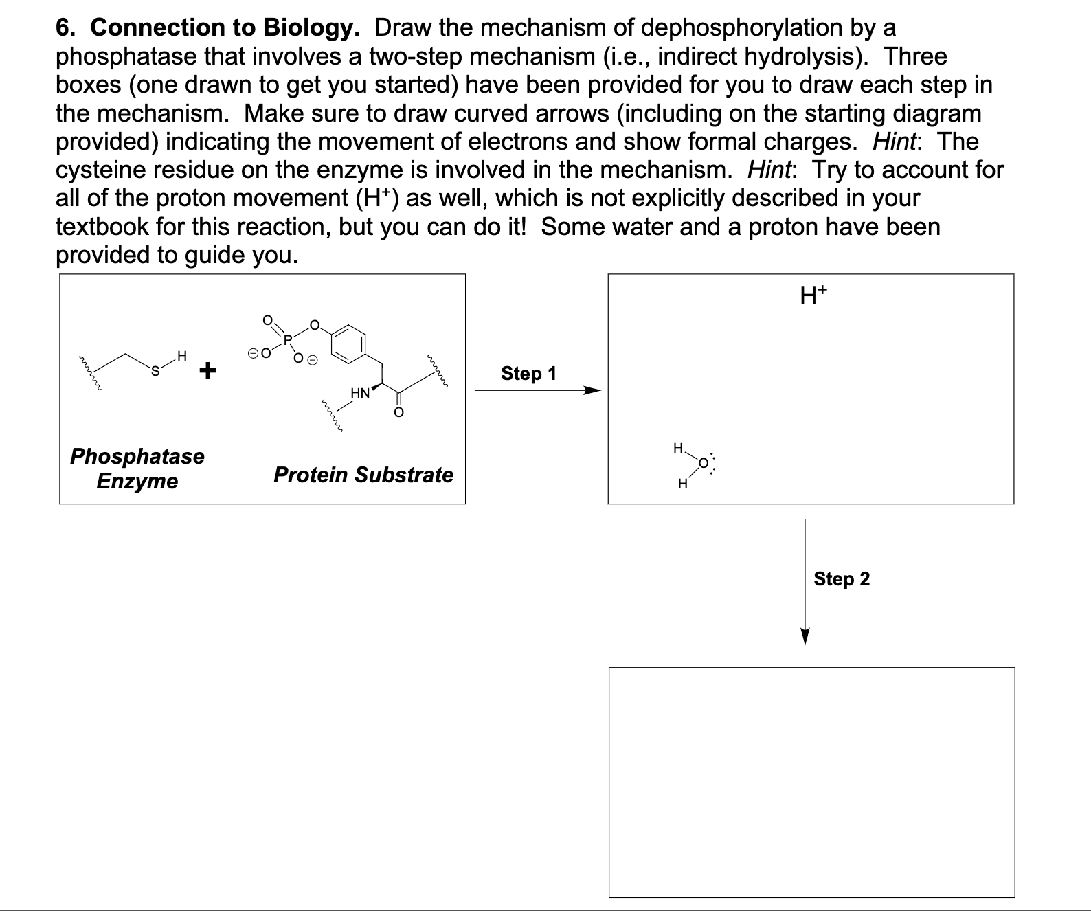 Solved Connection to Biology. Draw the mechanism of | Chegg.com