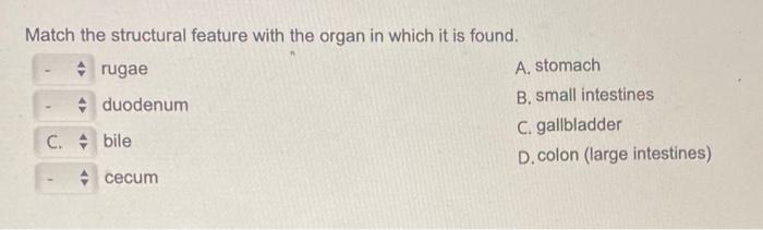 Solved Match the structural feature with the organ in which | Chegg.com
