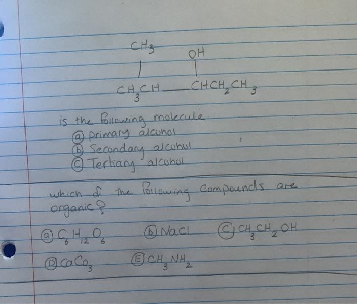 Solved OH CHCH CHCH₂CH₃ is the following molecule @ primary | Chegg.com