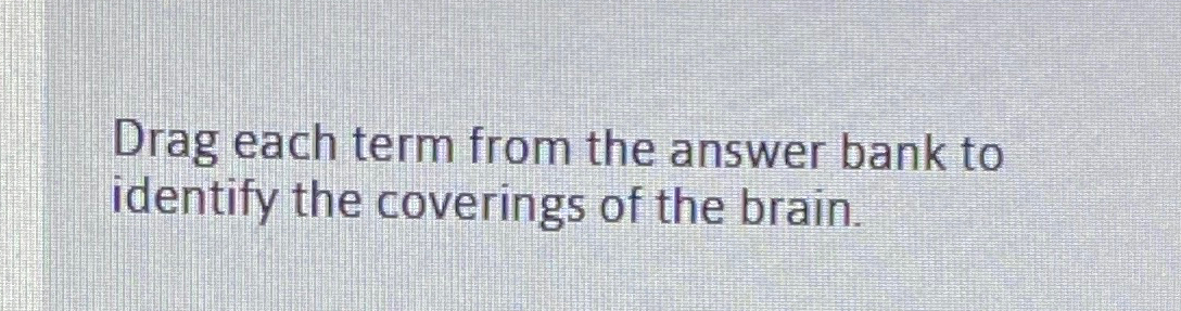 Solved Drag each term from the answer bank to identify the | Chegg.com