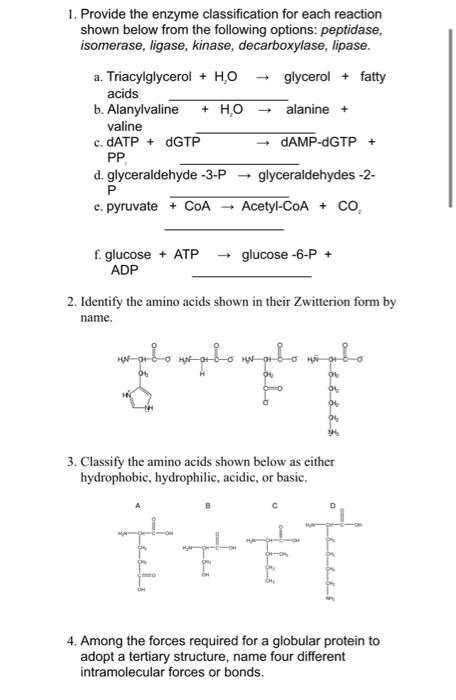 Solved 1. Provide the enzyme classification for each | Chegg.com