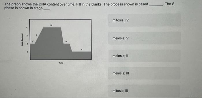 Solved The graph shows the DNA content over time. Fill in | Chegg.com