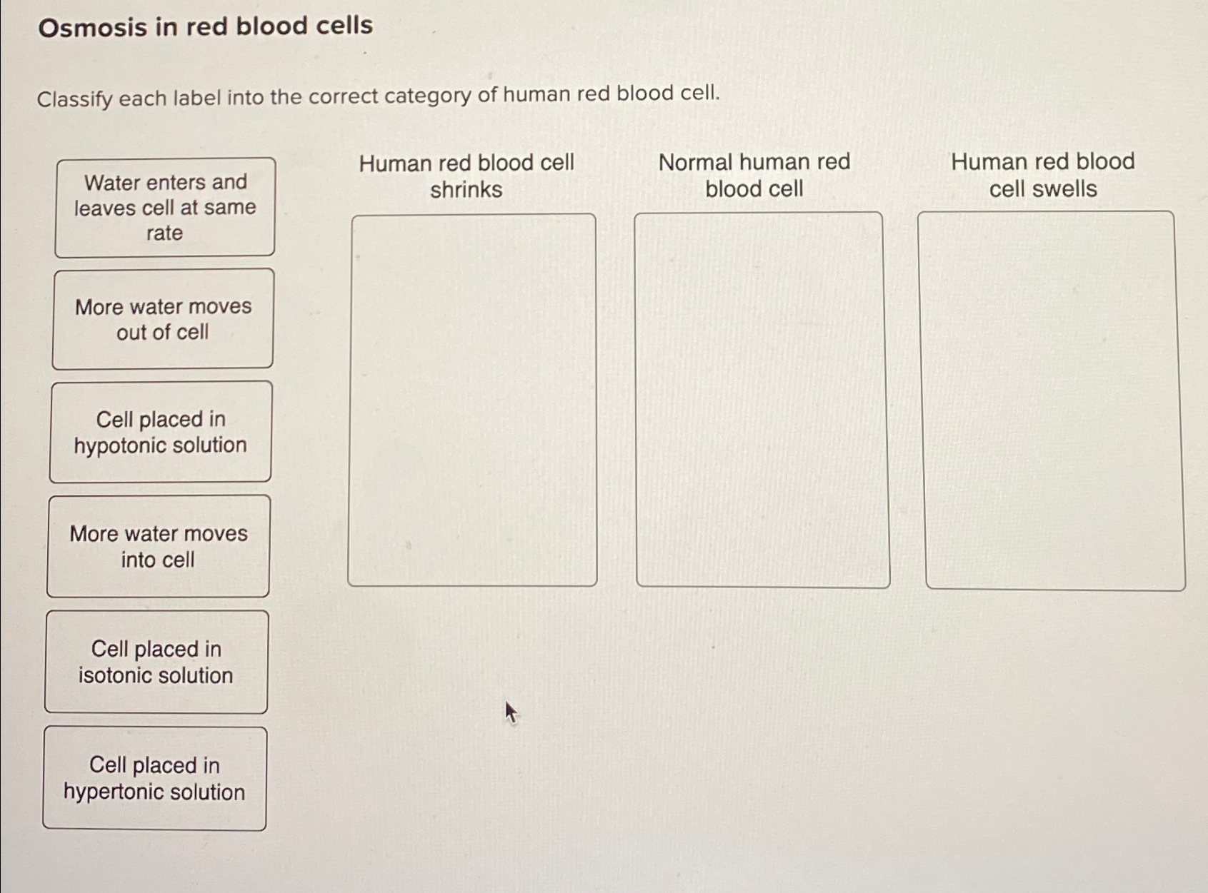 Solved Osmosis in red blood cellsClassify each label into | Chegg.com