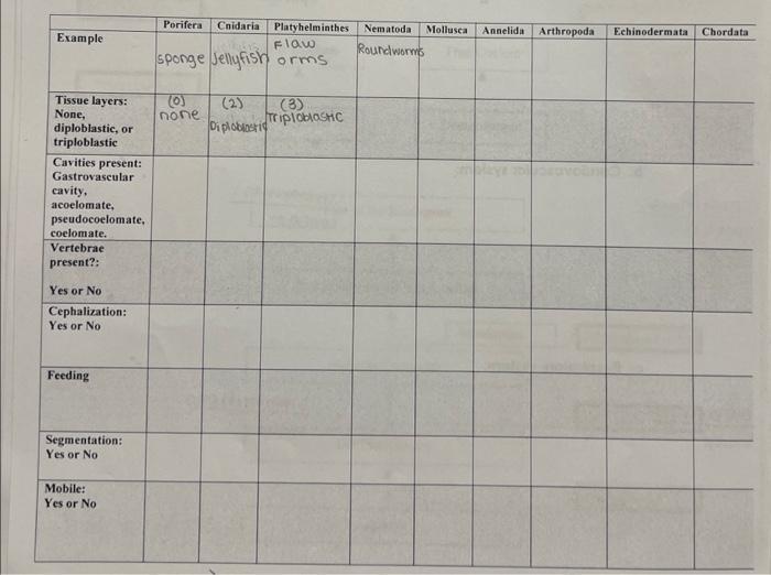 Solved please fill out the chart | Chegg.com Solved please fill out the chart | Chegg.com