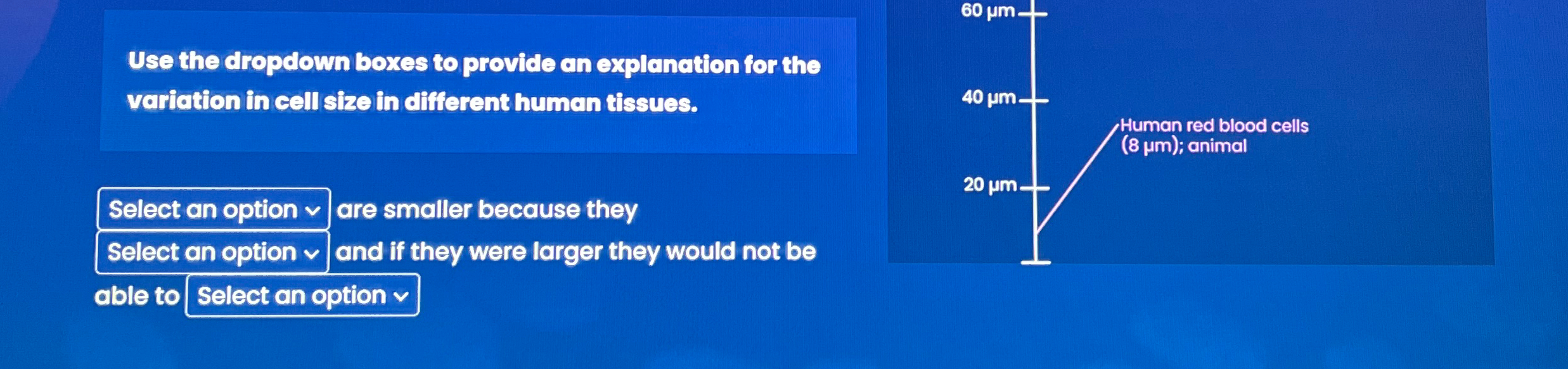Solved Use the dropdown boxes to provide an explanation for | Chegg.com