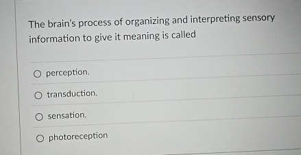 Solved The brain's process of organizing and interpreting | Chegg.com
