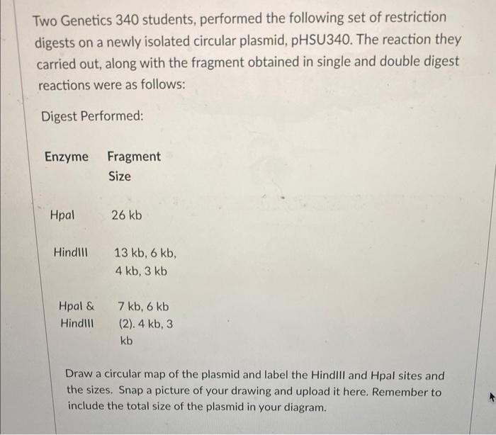 Two Genetics 340 students, performed the following | Chegg.com