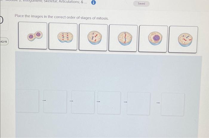 Solved 42:15 eht; Skeletal; Articulations; & ... Place the | Chegg.com Solved 42:15 eht; Skeletal; Articulations; & ... Place the | Chegg.com