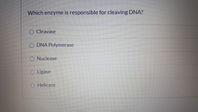 Solved Which enzyme is responsible for cleaving DNA? O | Chegg.com