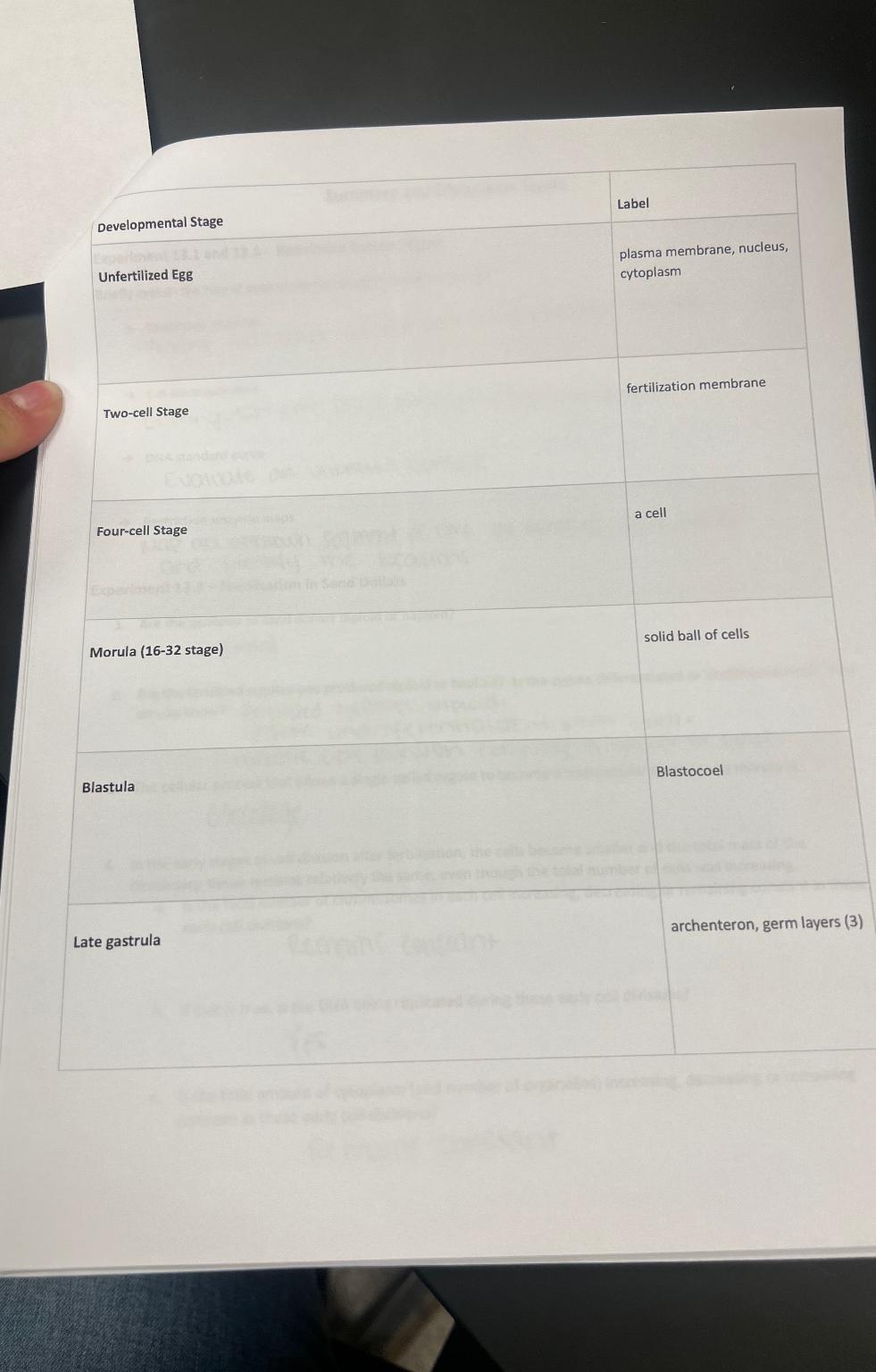 ProcedureSea Star DevelopmentSea stars and sea | Chegg.com