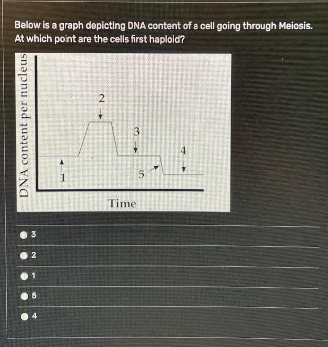 Solved Below is a graph depicting DNA content of a cell | Chegg.com