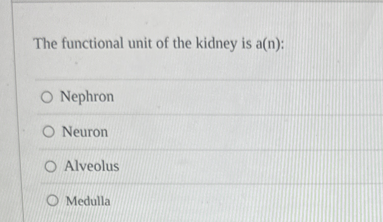 Solved The functional unit of the kidney is | Chegg.com