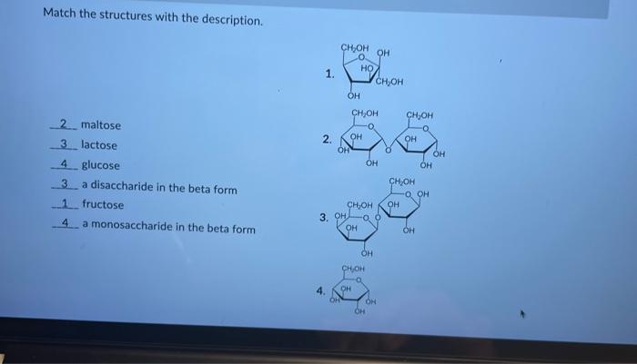 Solved Match the structures with the description. 2 maltose | Chegg.com Solved Match the structures with the description. 2 maltose | Chegg.com