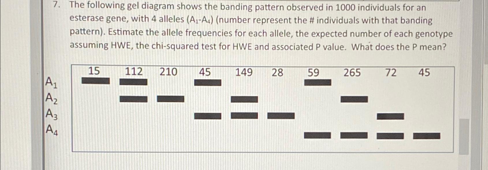 Solved The following gel diagram shows the banding pattern | Chegg.com