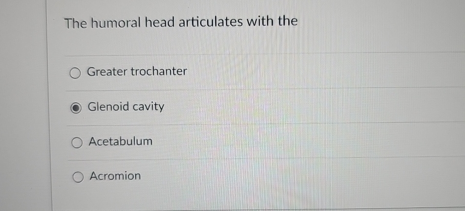 Solved The humoral head articulates with theGreater | Chegg.com