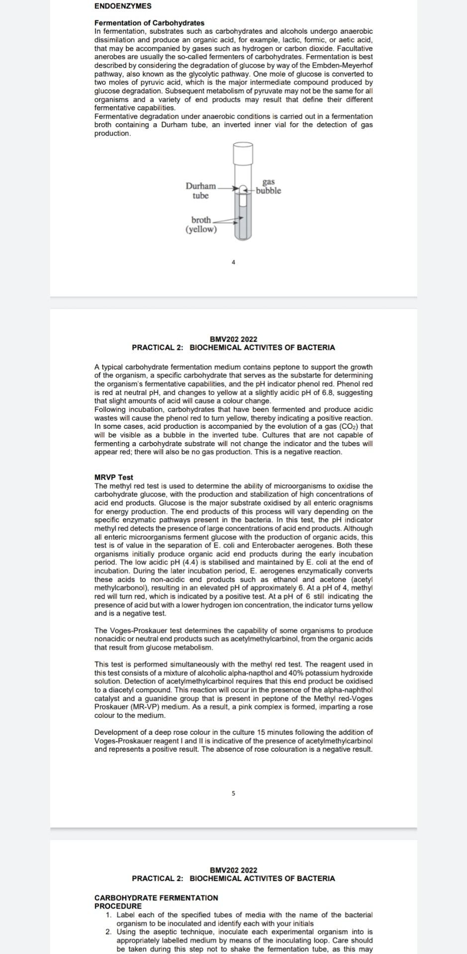 Solved ENDOENZYMES Fermentation of Carbohydrates In | Chegg.com