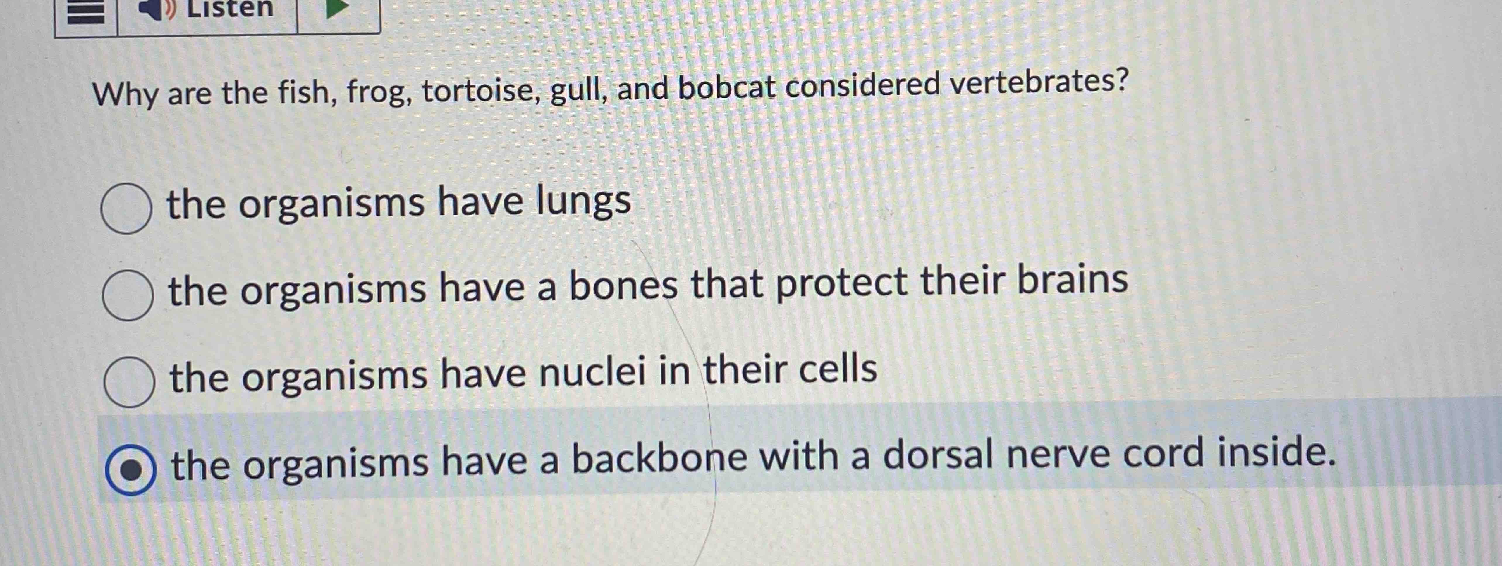 Solved why are the fish, frog, tortoise,Why are the fish, | Chegg.com