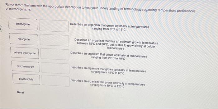 Solved Please match the term with the appropriate | Chegg.com