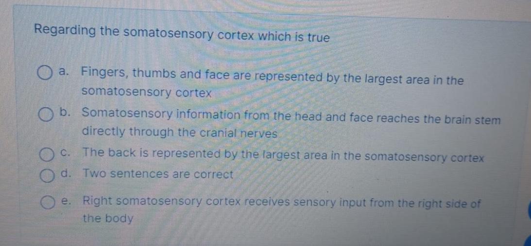 Solved Regarding the somatosensory cortex which is truea. | Chegg.com