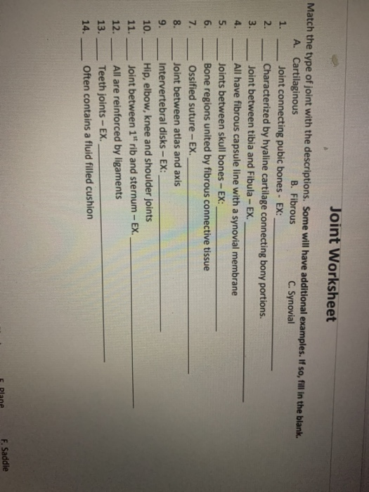 Solved Joint Worksheet Match the type of joint with the | Chegg.com