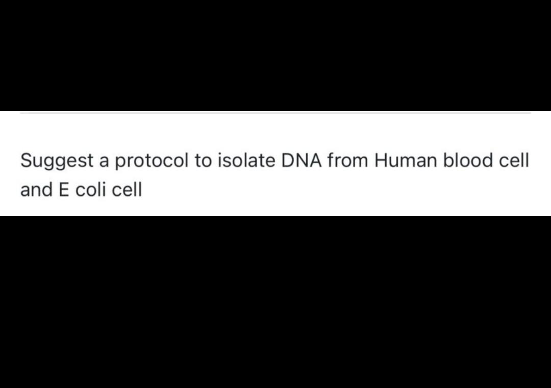 Solved Suggest a protocol to isolate DNA from Human blood | Chegg.com