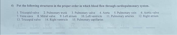 Solved 4) Put the following structures in the proper order | Chegg.com