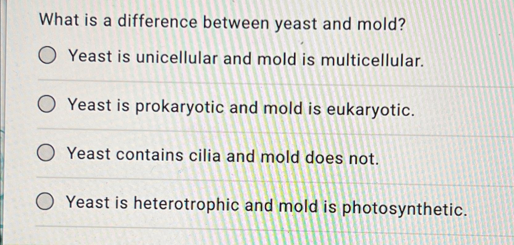 Solved What is a difference between yeast and mold?Yeast is | Chegg.com